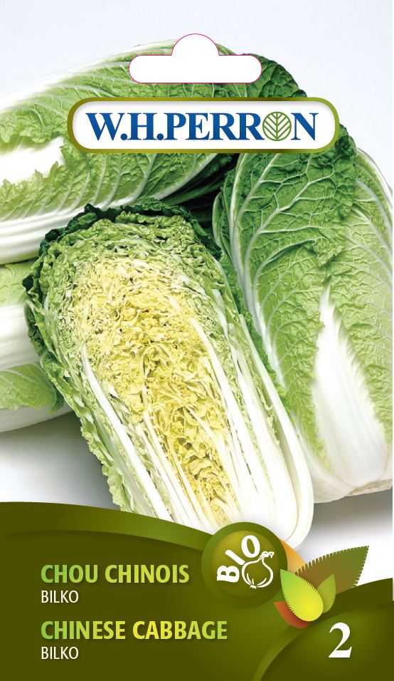 Seeds - Chinesse Cabbage Bio – HydroponiquePro