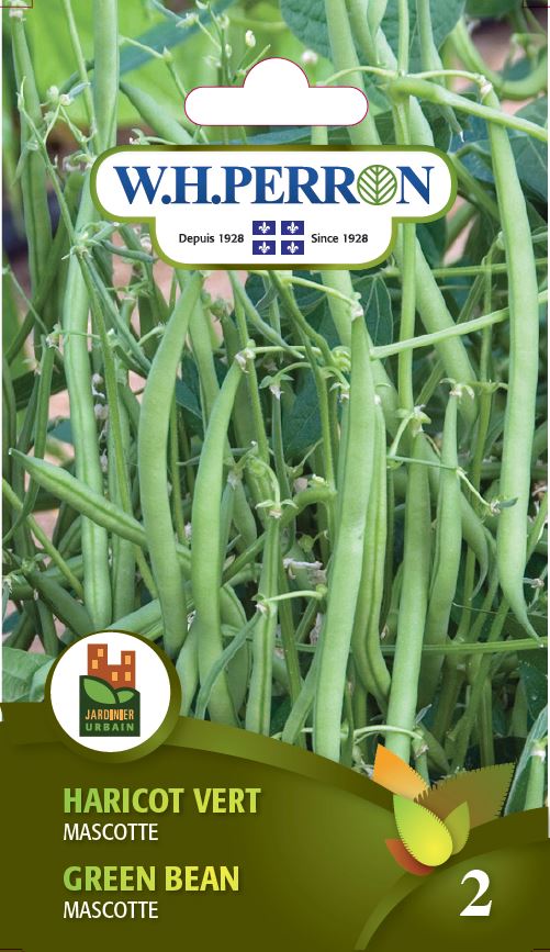 Seeds - Green Bean Mascotte – HydroponiquePro